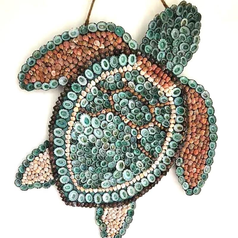 Seashell Turtle - Etsy