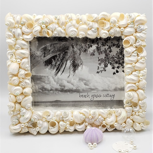 Framed Shell Art - Etsy
