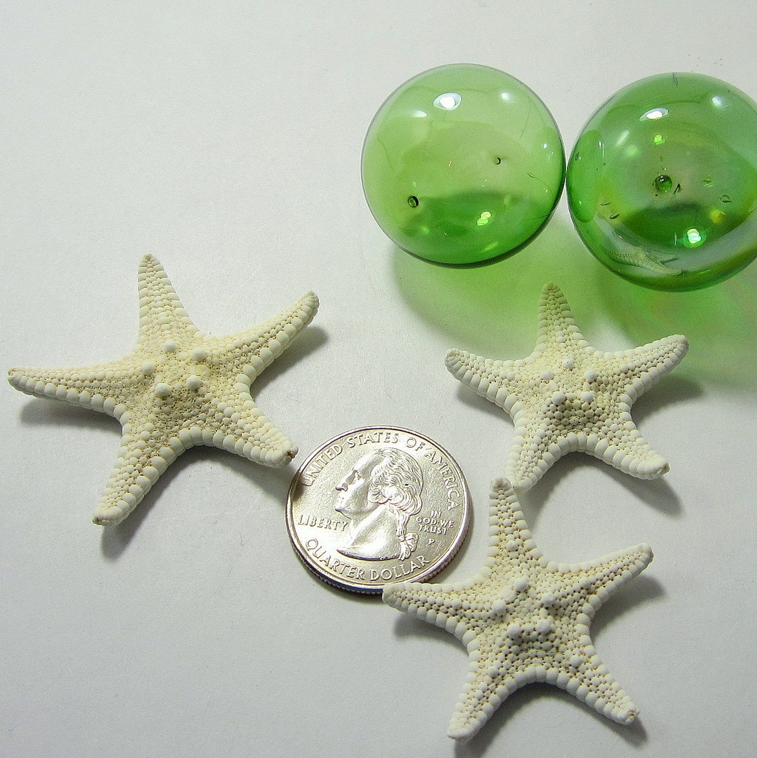 100PC SMALL White Starfish, Nautical Coastal Beach Decor White Knobby ...