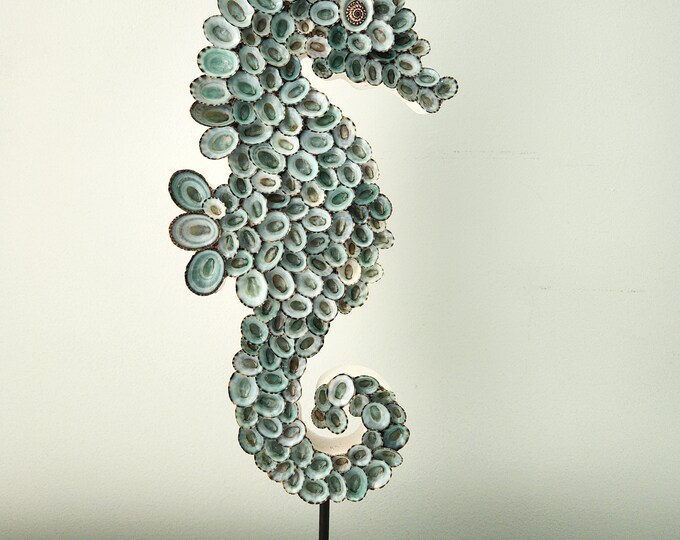Aqua Seashell Seahorse, Beach Nautical & Coastal Decor Aqua Limpet ...
