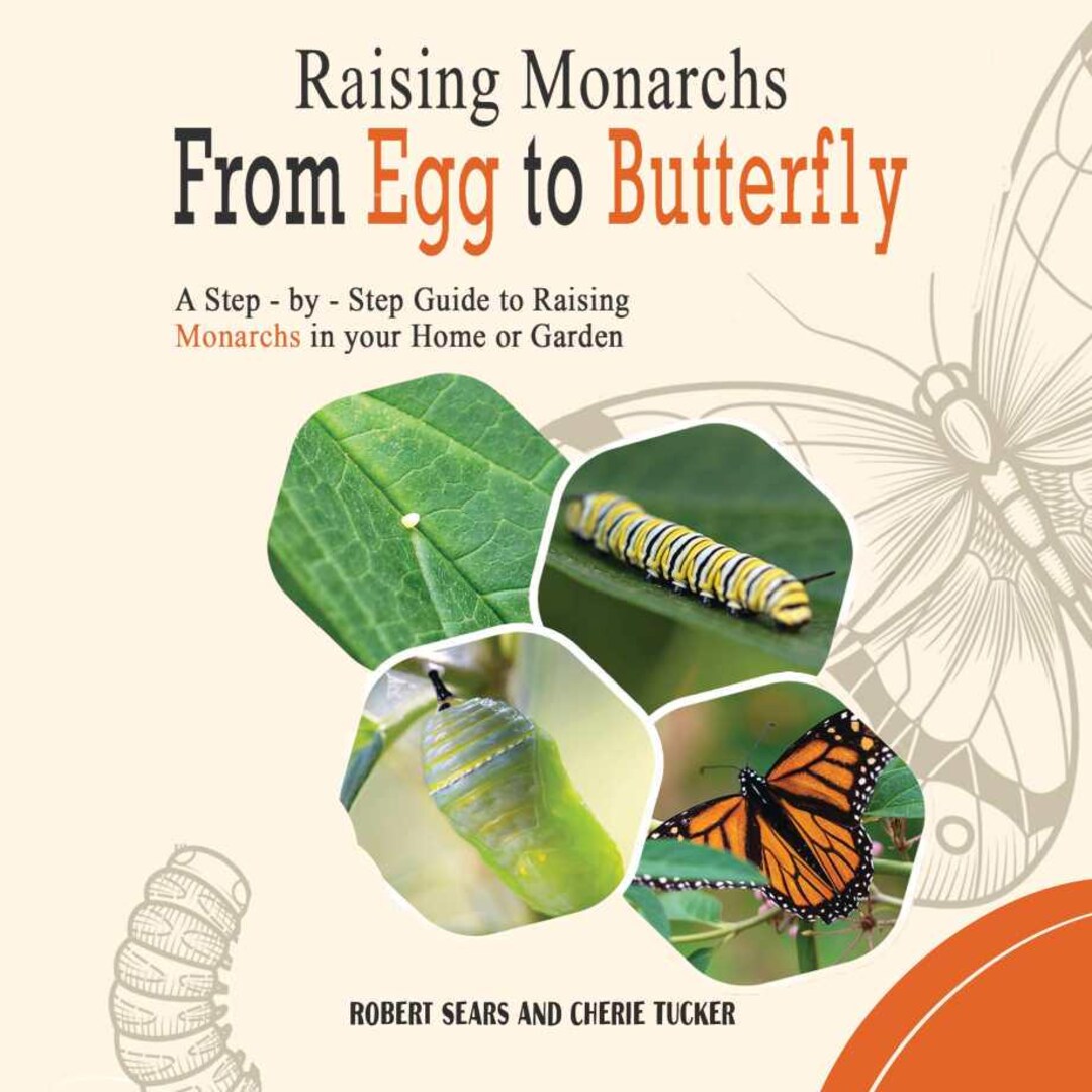 Raising Monarchs From Egg to Butterfly: A Step-by-step Guide to Raising ...