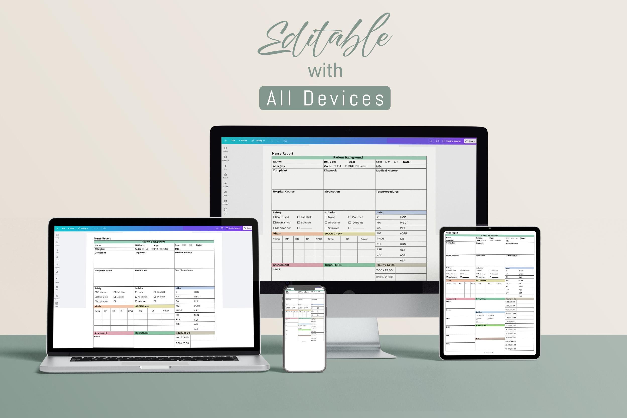 Editable Nurse Report Sheet Printable, Digital Nurse Brain Sheet ...