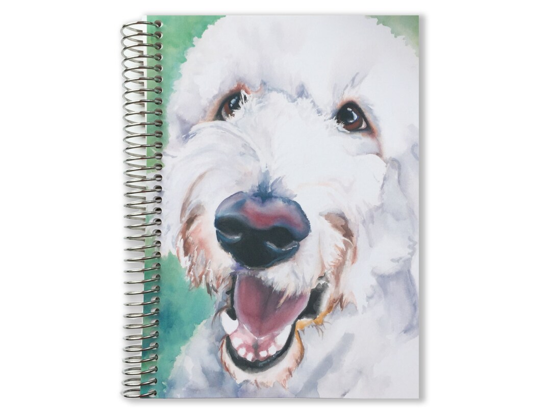 Password Book Aquila Watercolor - Etsy