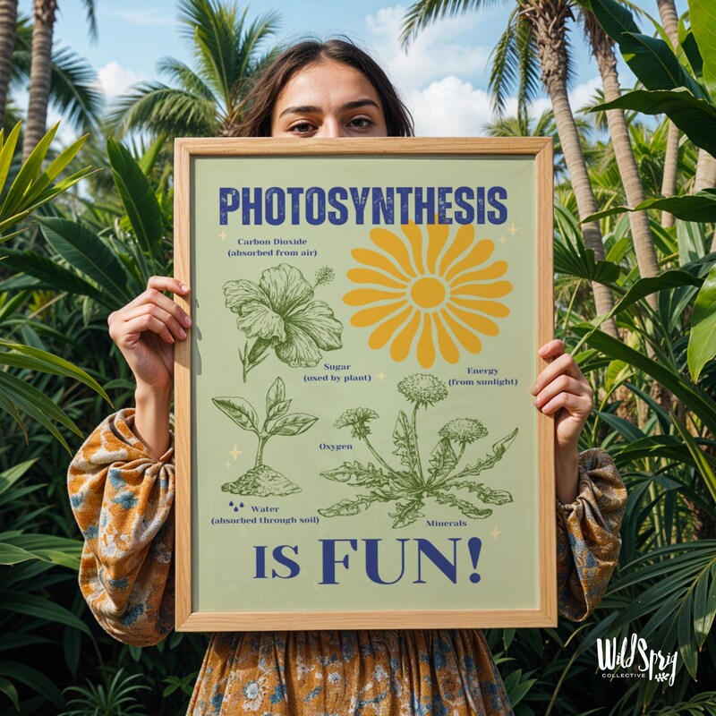 Photosynthesis Poster - Etsy