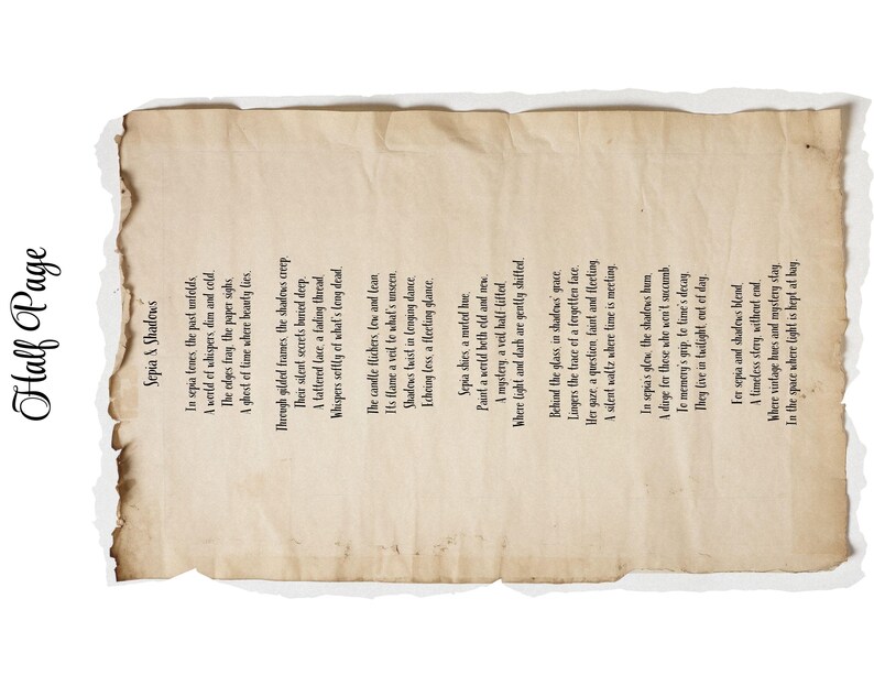 Sepia & Shadows Junk Journal Papercraft Set (11 X 6.5) Ephemera ...