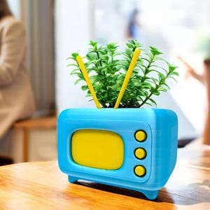 Retro Tv Succulent Plant Pot | Kawaii Desk Decor | Novelty Gift for ...