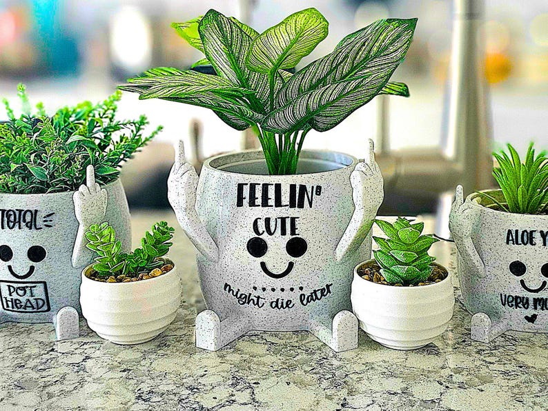 Middle Finger Succulent Pot Witty Quotes | 3D Print Happy Planter ...