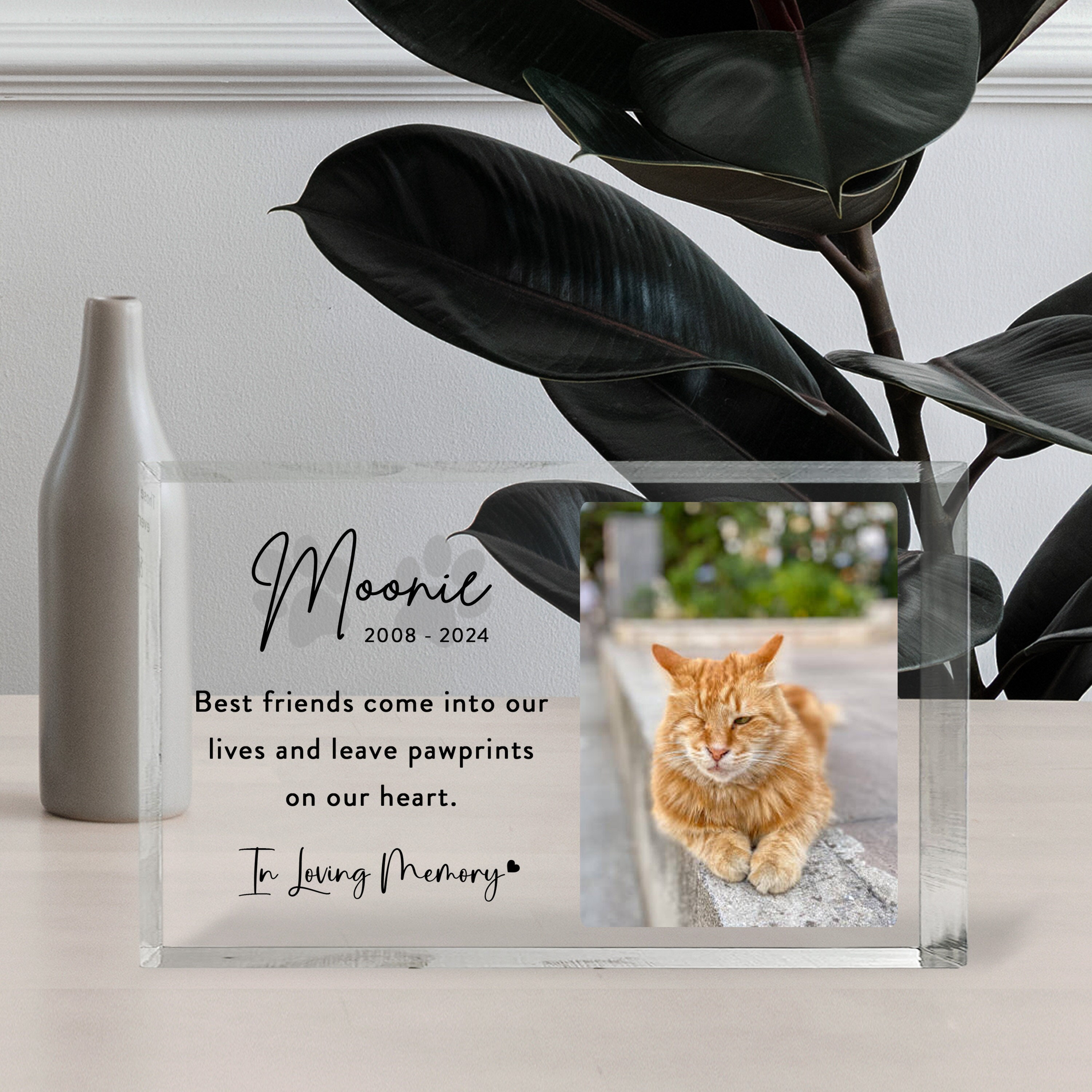Custom Photo Acrylic Block for Cat Passed Away • Personalized Cat ...