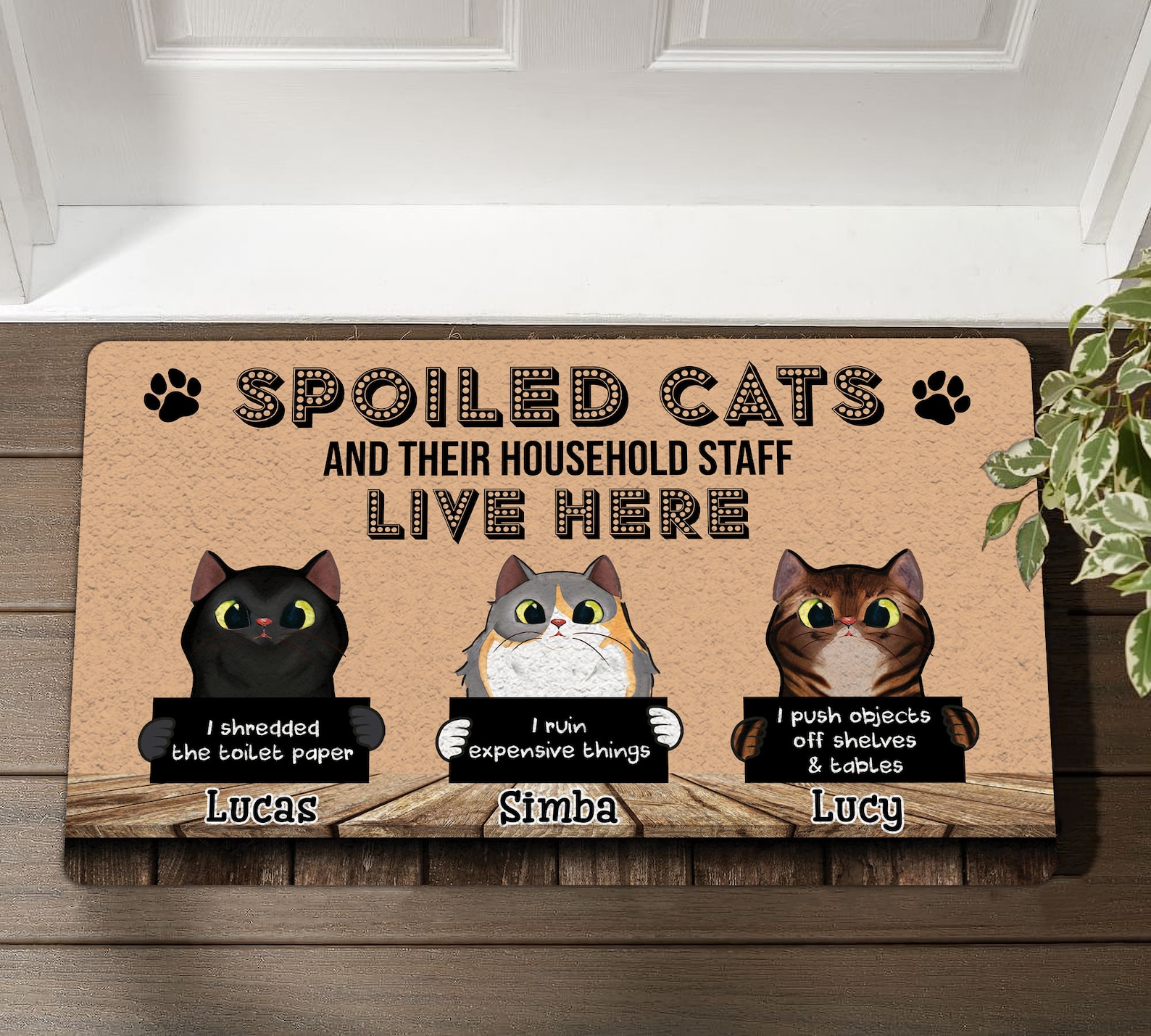 Spoiled Cats and Their Household Staff Live Here Doormat Personalized ...