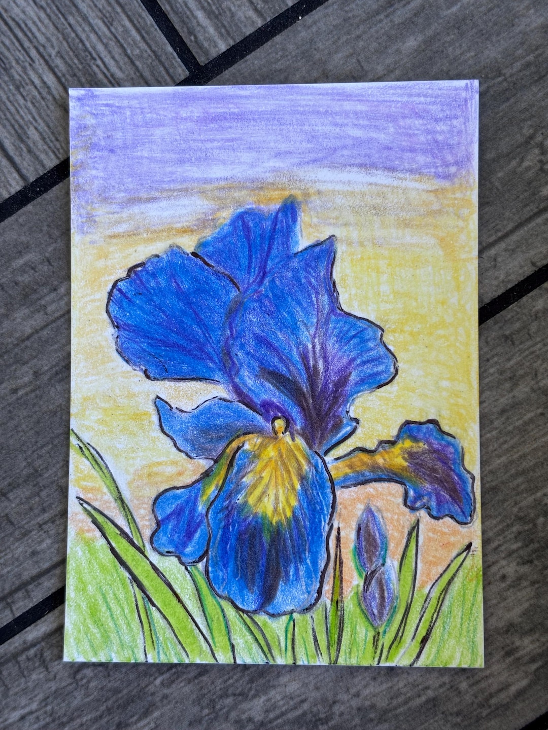 Blue Iris. ACEO Drawn With Colored Pencils - Etsy