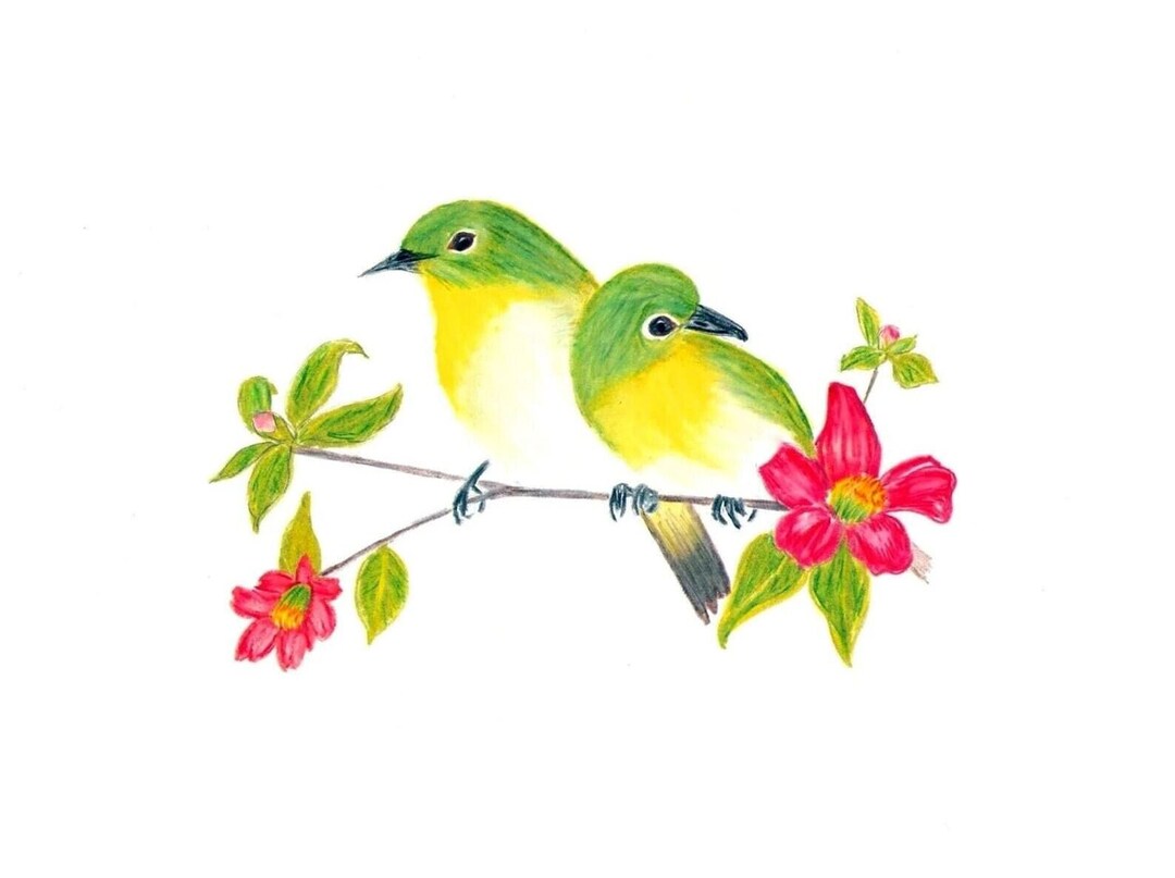 Painted Bunting Note Cards / Post Cards - Etsy