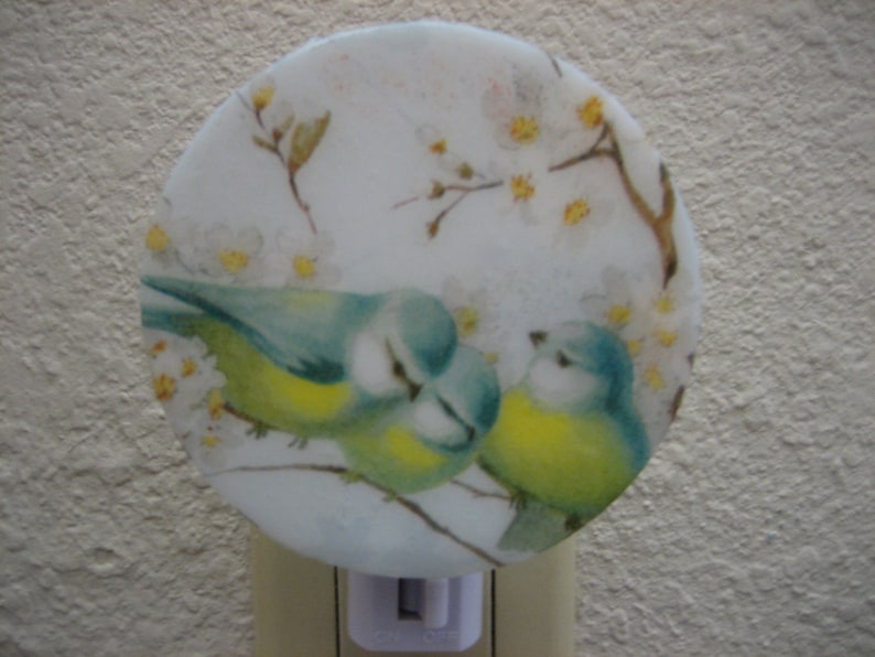 Birds Night Light Ideal for Entrance, Hallway, Bathroom, Bedroom ...