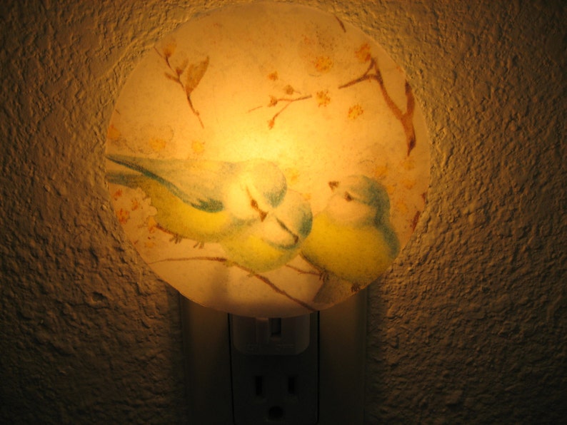 Birds Night Light Ideal for Entrance, Hallway, Bathroom, Bedroom ...