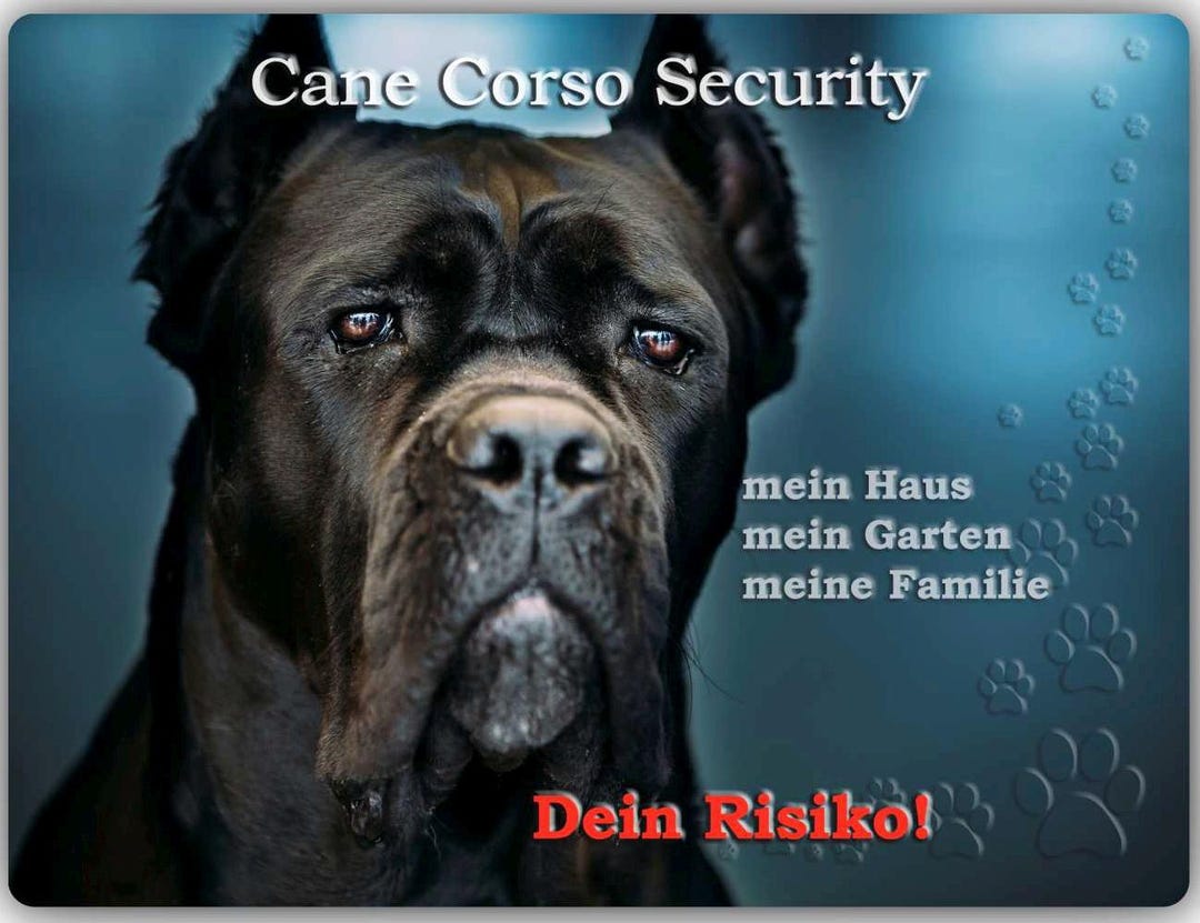 Warning Sign Door Sign Dog Sign Aluminum 20 X 30 Cm Cane Corso Security ...