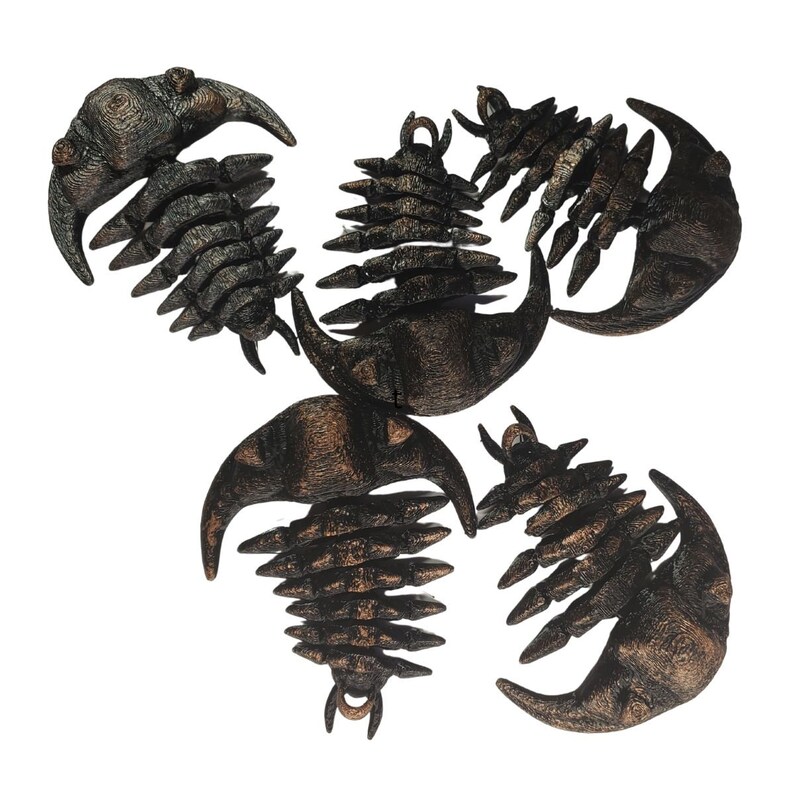 Trilobite Keychain, Articulated and Flexible, Luggage Tag, Backpack Tag ...