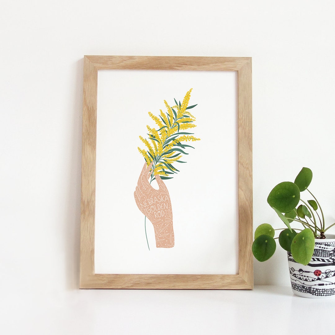 Nebraska State Flower Art Print Nebraska Goldenrod State Flower ...