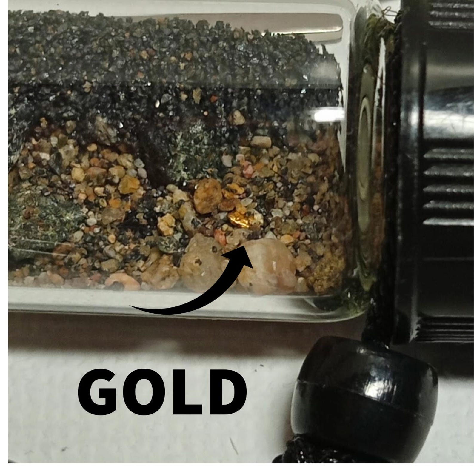 The "thrill of the Reveal" Mini Vial - Real Panned Gold in Every Vial ...