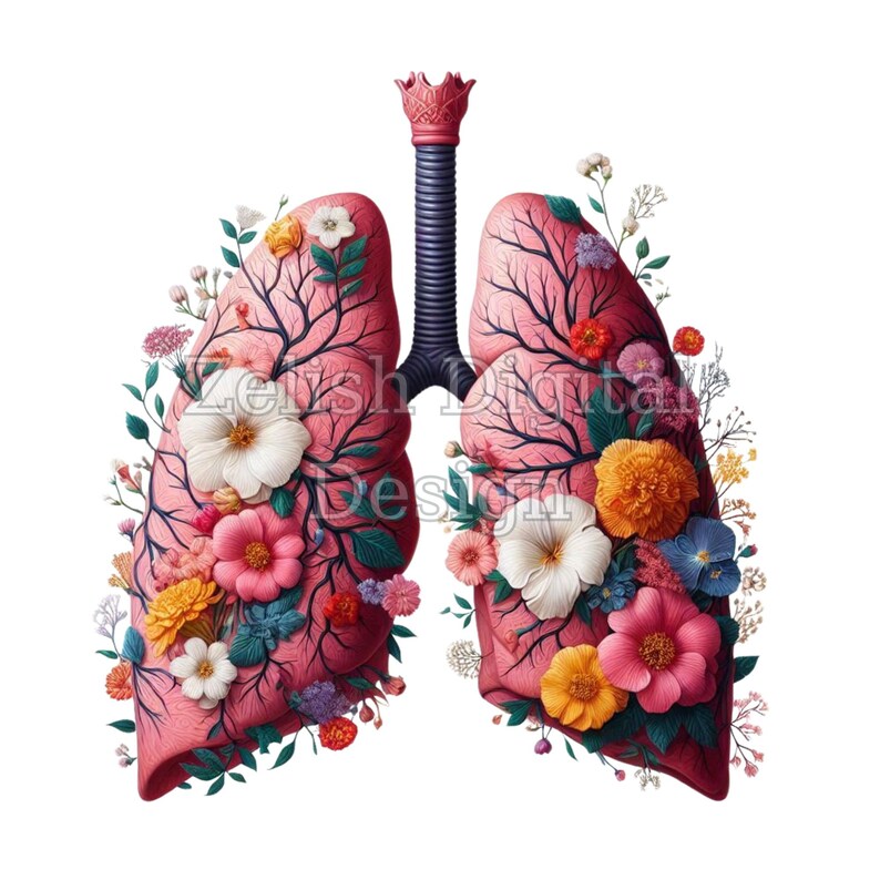 Floral Lung Clipart Bundle: Botanical PNG Designs (digital Download) - Etsy