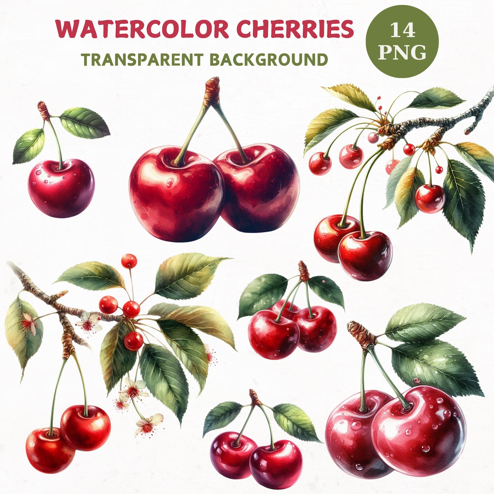 Watercolor Cherry Clipart Bundle: Floral Fruit PNG (digital Download ...