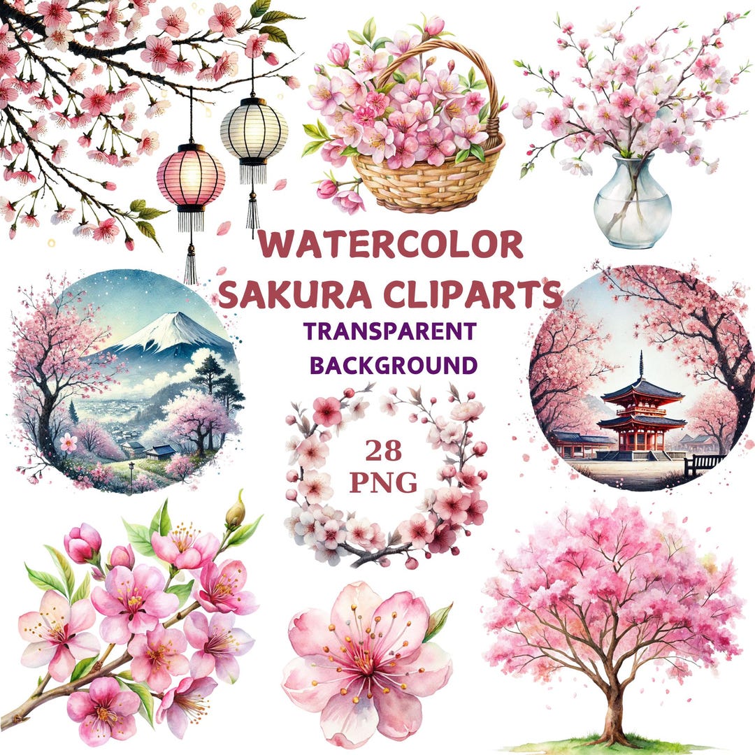 Watercolor Sakura Clipart Bundle: Japanese Cherry Blossom Illustrations ...