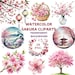 Watercolor Sakura Clipart Bundle: Japanese Cherry Blossom Illustrations ...