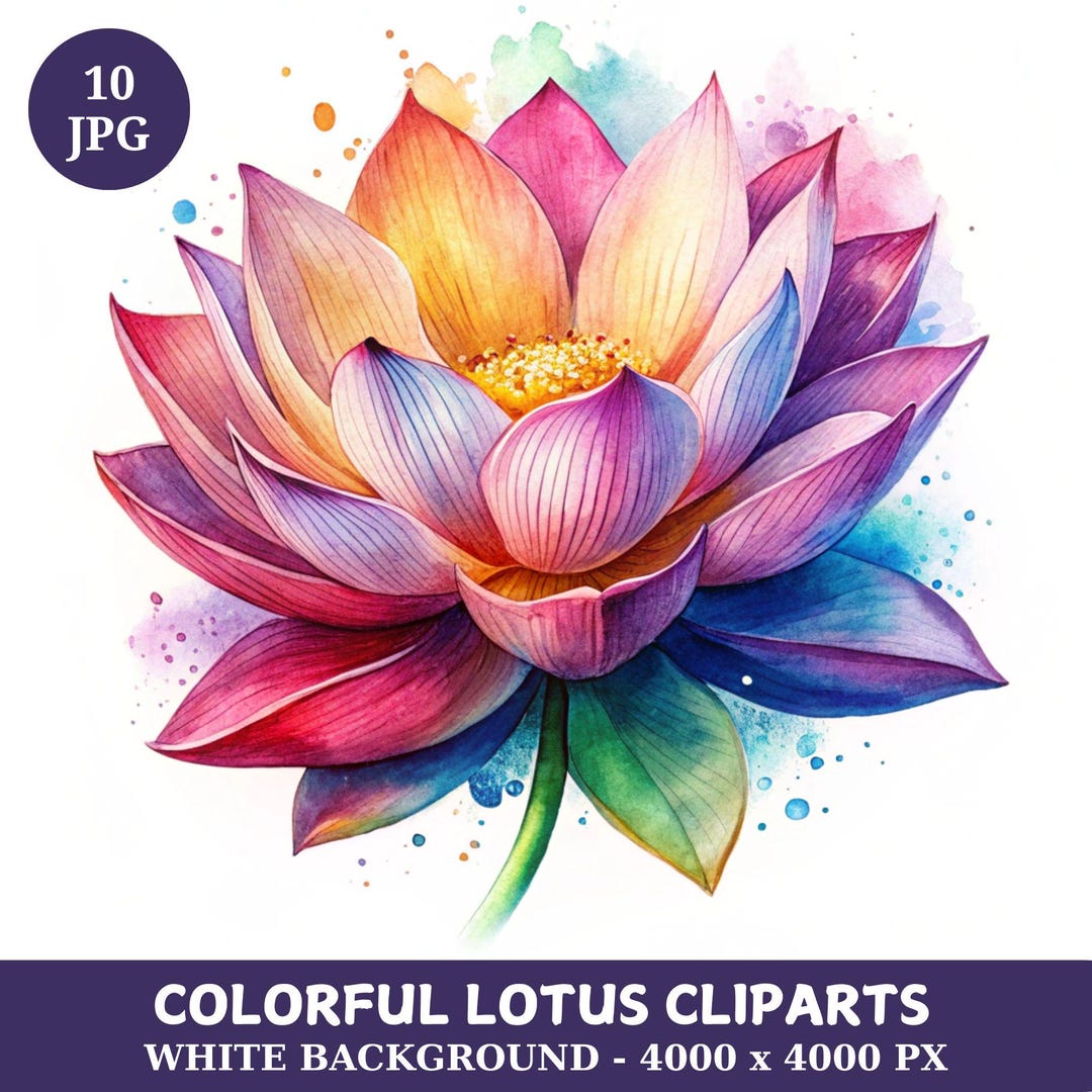 Watercolor Lotus Clipart Bundle: 10 JPG Flower Illustrations (digital ...