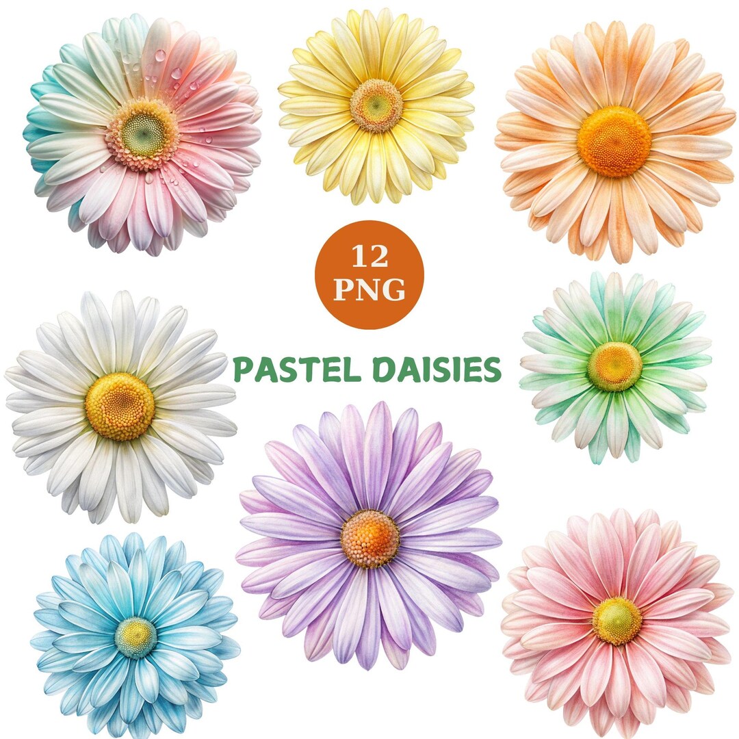 Watercolour Pastel Daisy Clipart Bundle, 12 PNG, Spring Flower Elements ...