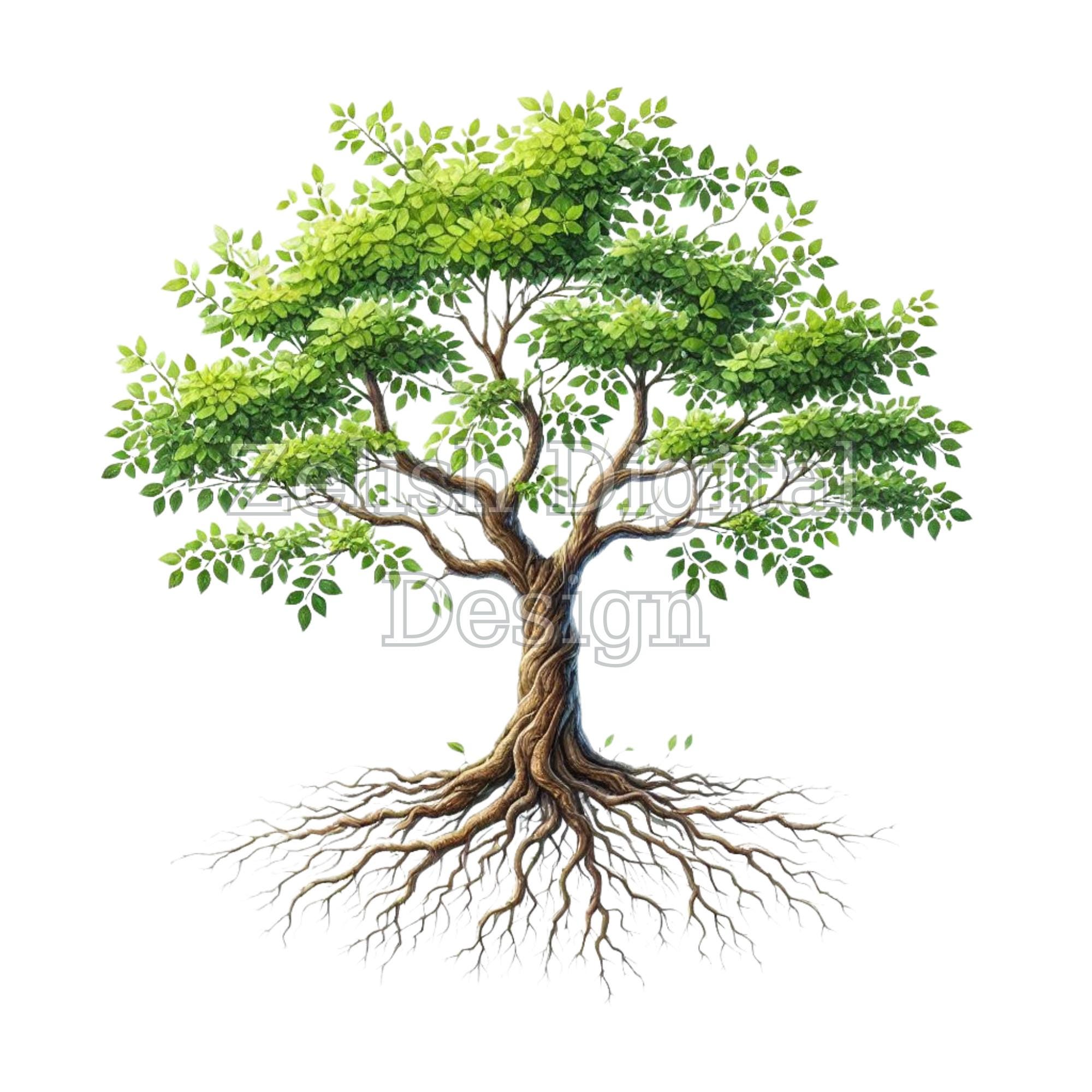 Tree of Life With Roots Clipart Bundle, Oak Family Tree, Printable ...