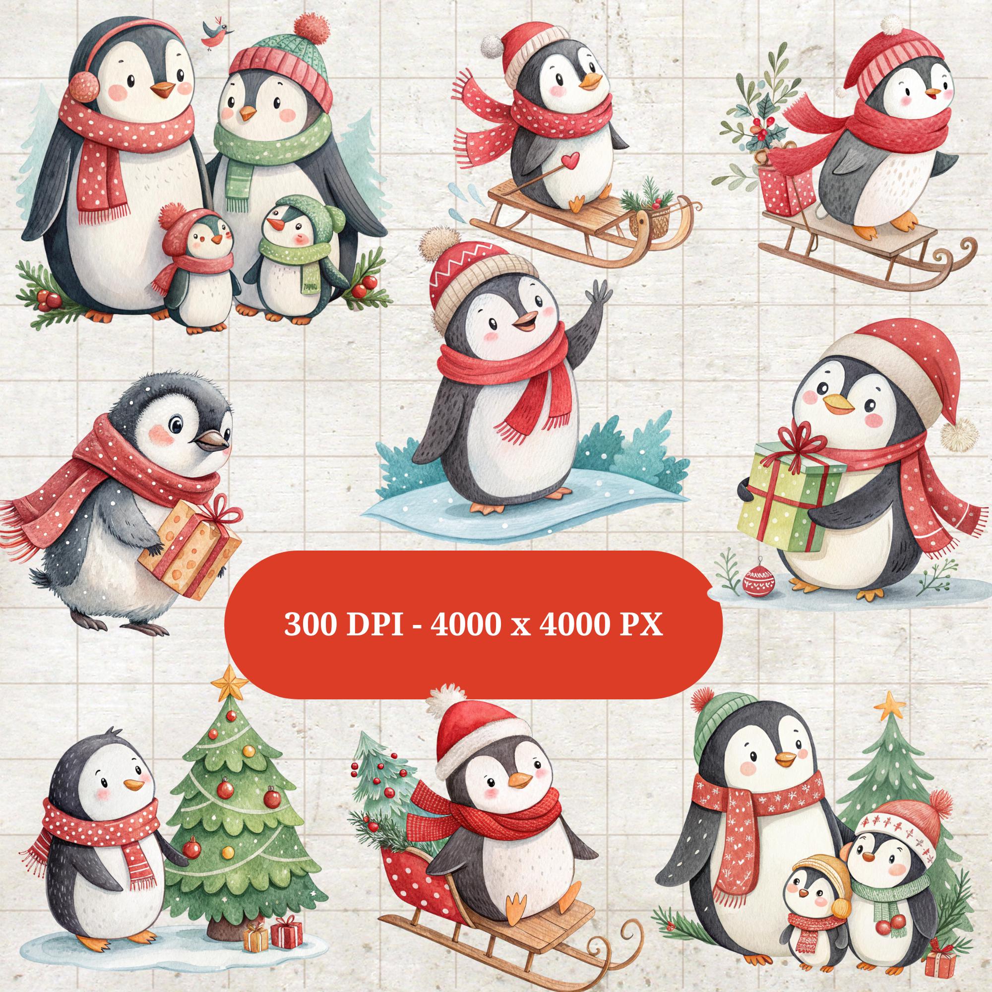 Watercolor Penguin Clipart, 17 Transparent Png, Holiday Illustrations ...