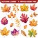 Watercolor Fall Leaves Clipart Bundle: 16 Transparent PNG (digital ...