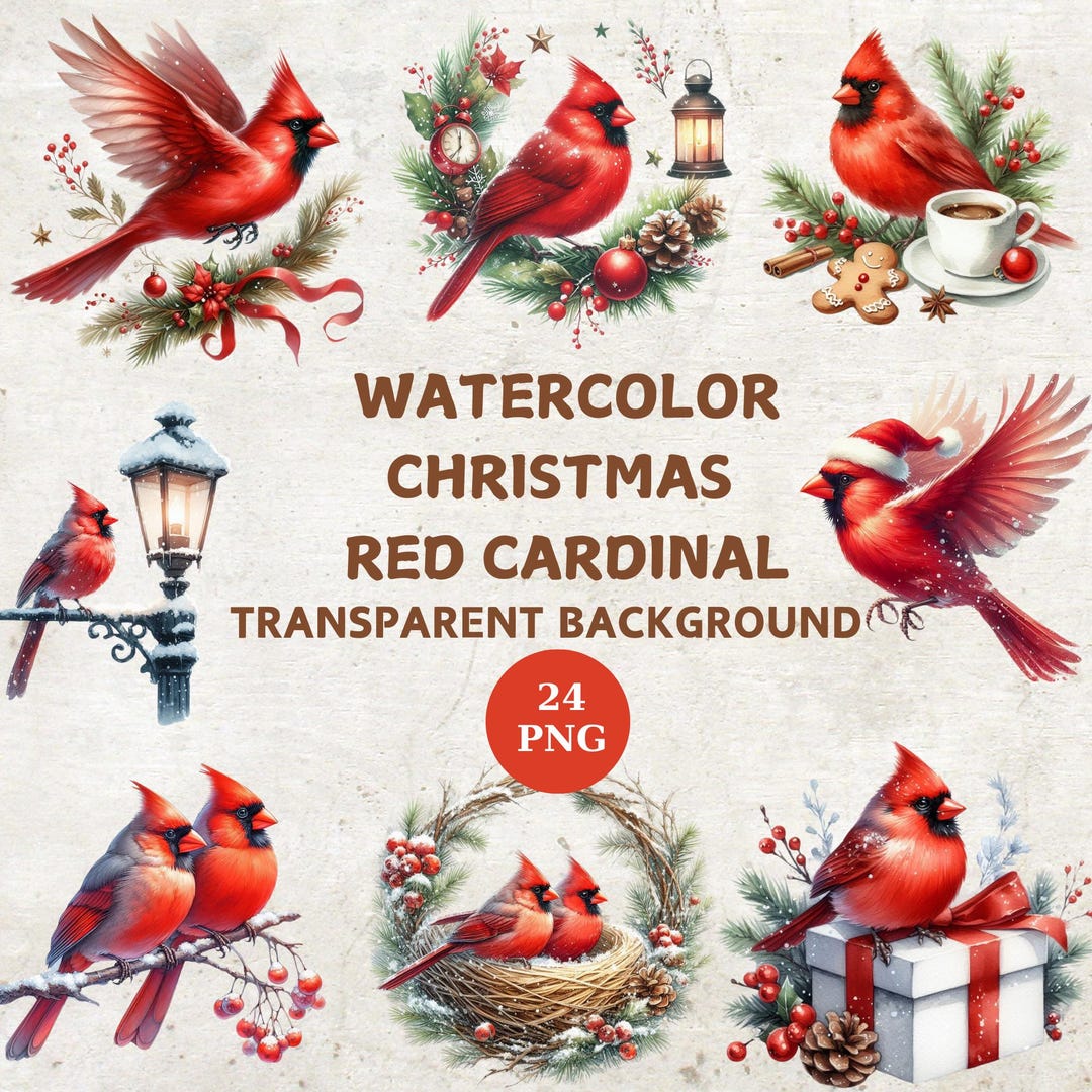 Watercolor Christmas Red Cardinal Clipart Bundle, 24 Transparent ...