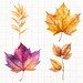 Watercolor Fall Leaves Clipart Bundle: 16 Transparent PNG (digital ...
