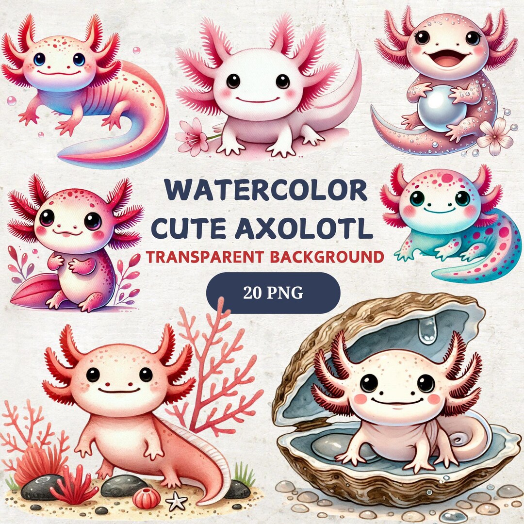 Cute Axolotl Clipart Bundle, Axolotl Illustrations, 20 Transparent Png ...
