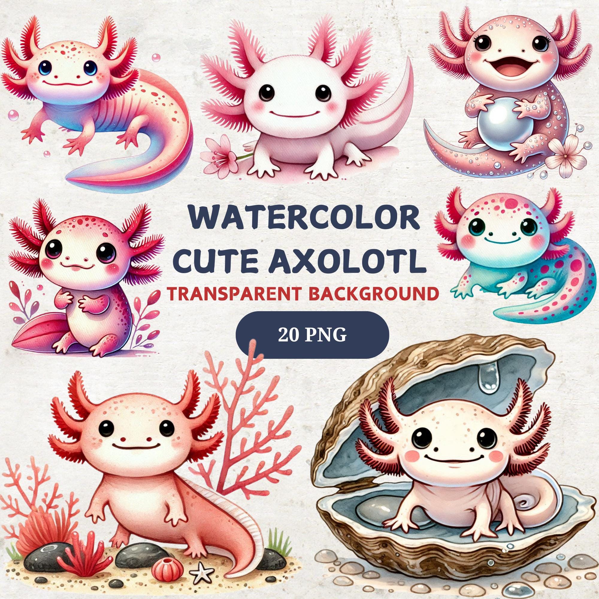 Cute Axolotl Clipart Bundle, Axolotl Illustrations, 20 Transparent Png ...