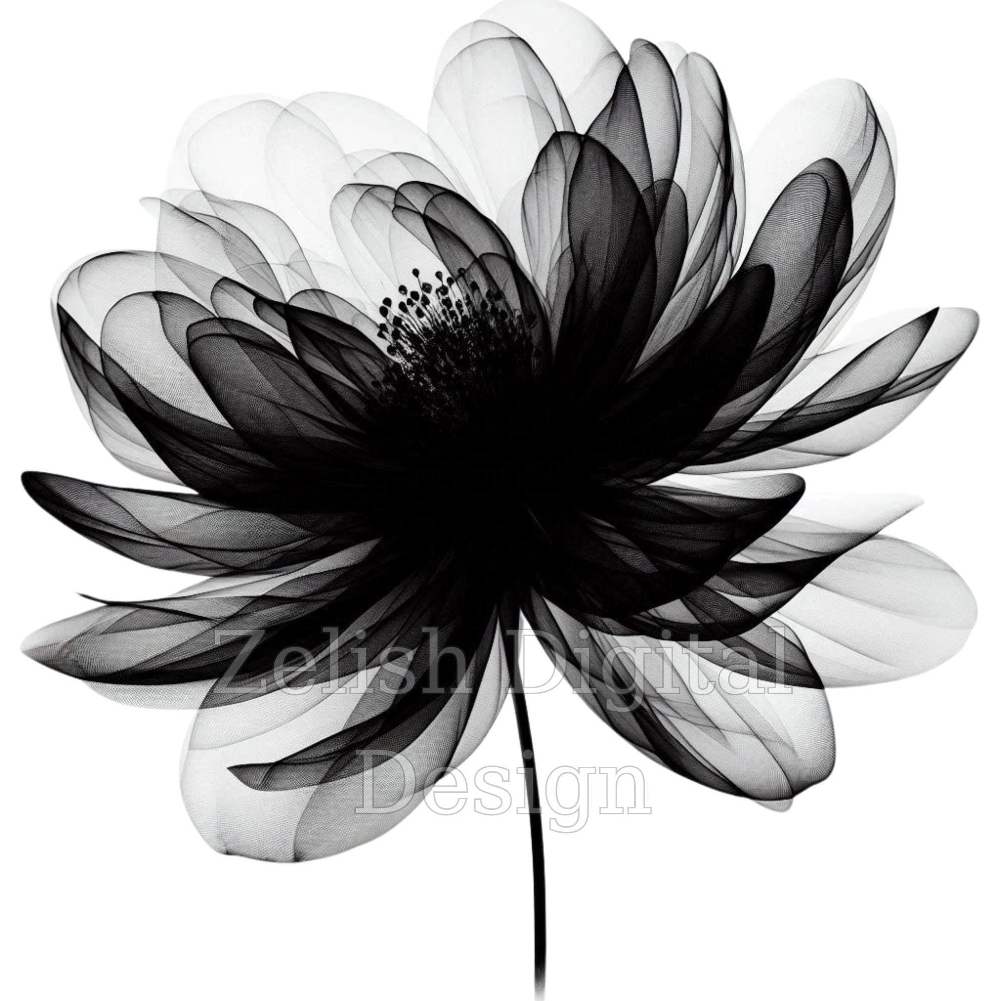Abstract Black Flowers Clipart Bundle: Watercolor PNG, Digital Download ...