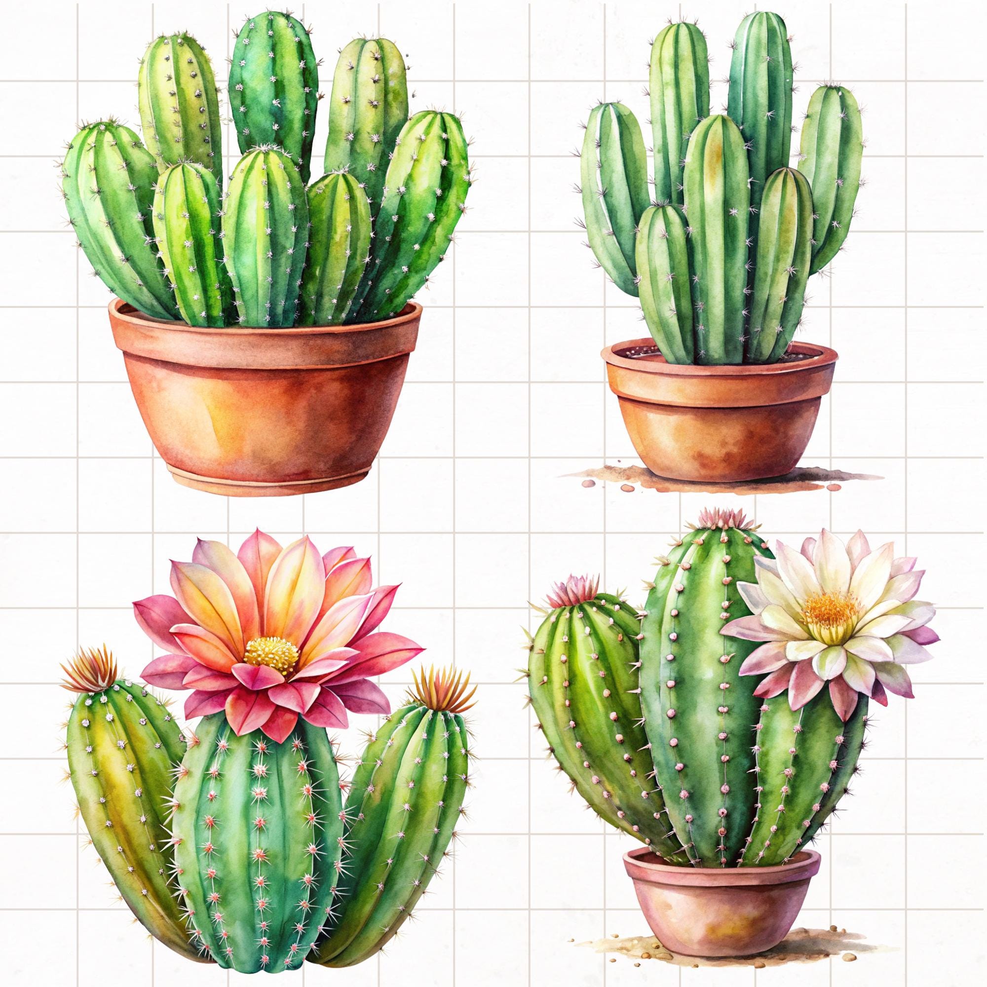 Watercolor Cactus Clipart Bundle: Desert Floral Illustrations (PNG ...