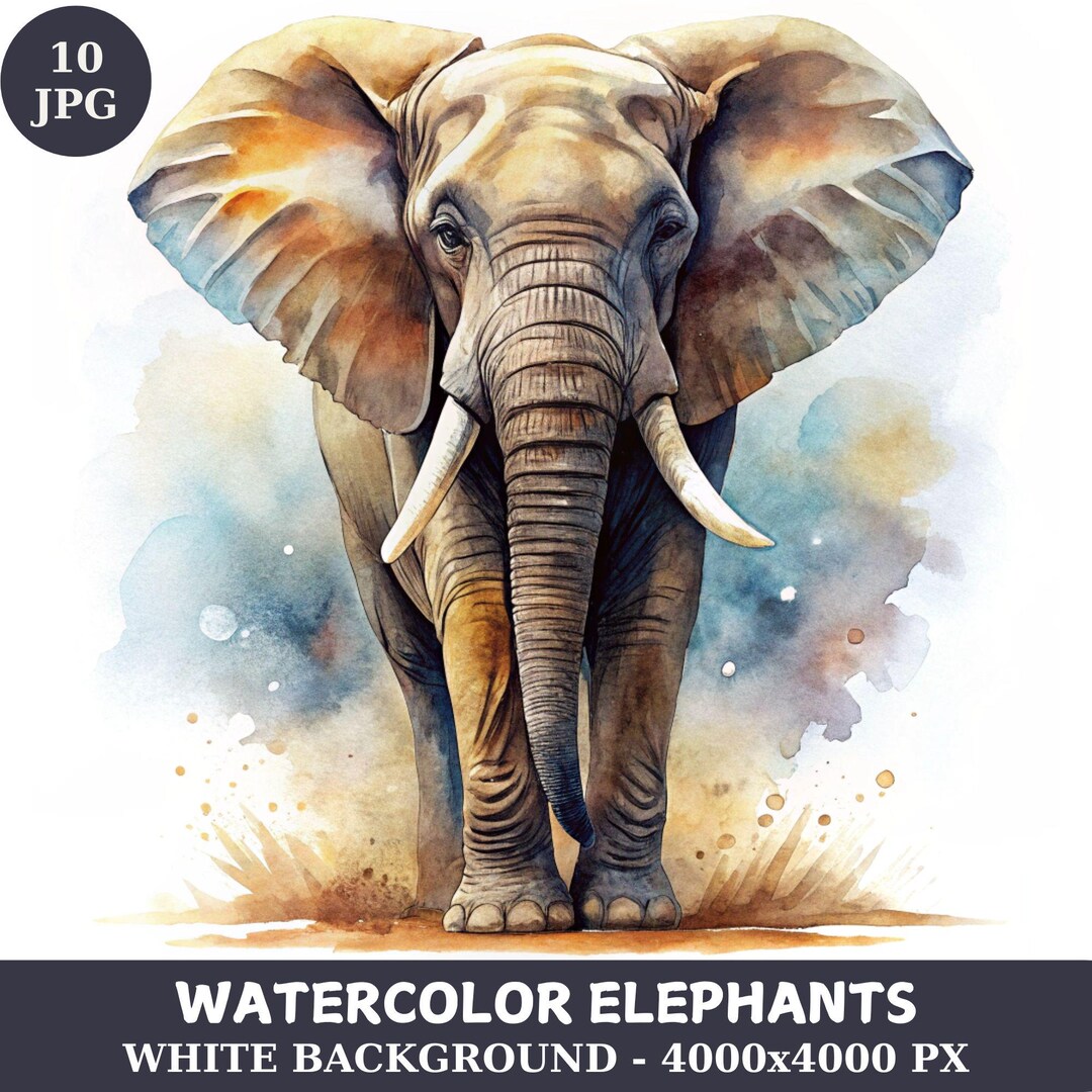 Watercolor Elephant Clipart Bundle: Nursery Art, Scrapbooking (digital ...