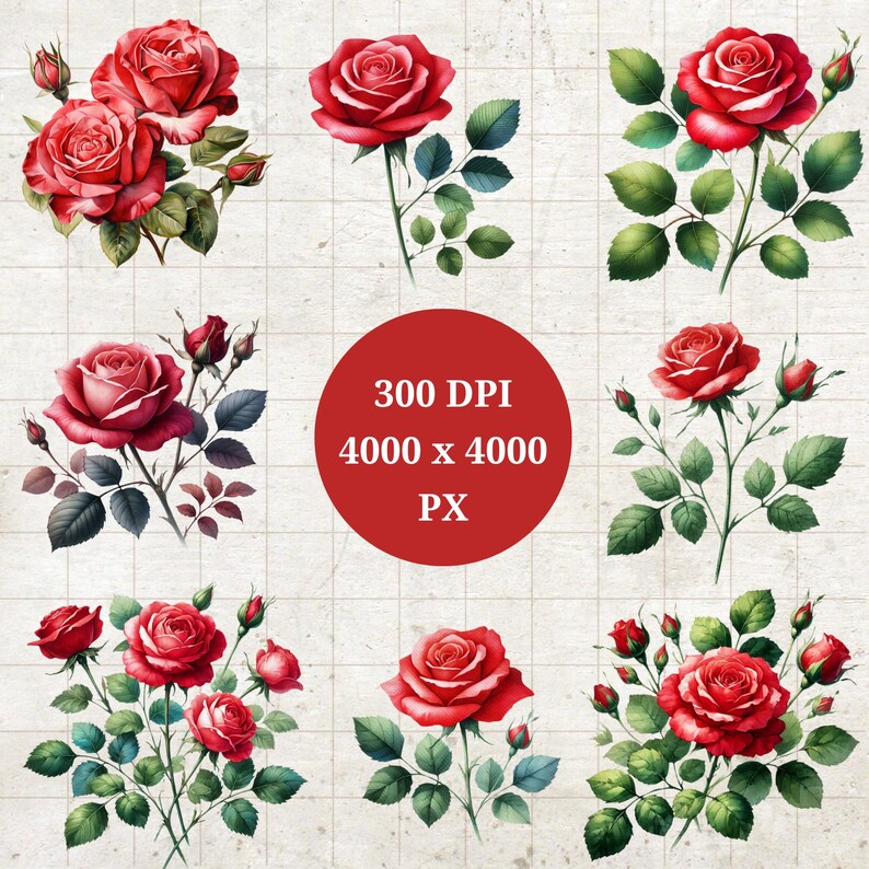 Red Rose Clipart Bundle, 15 Transparent Background Png, Printable ...
