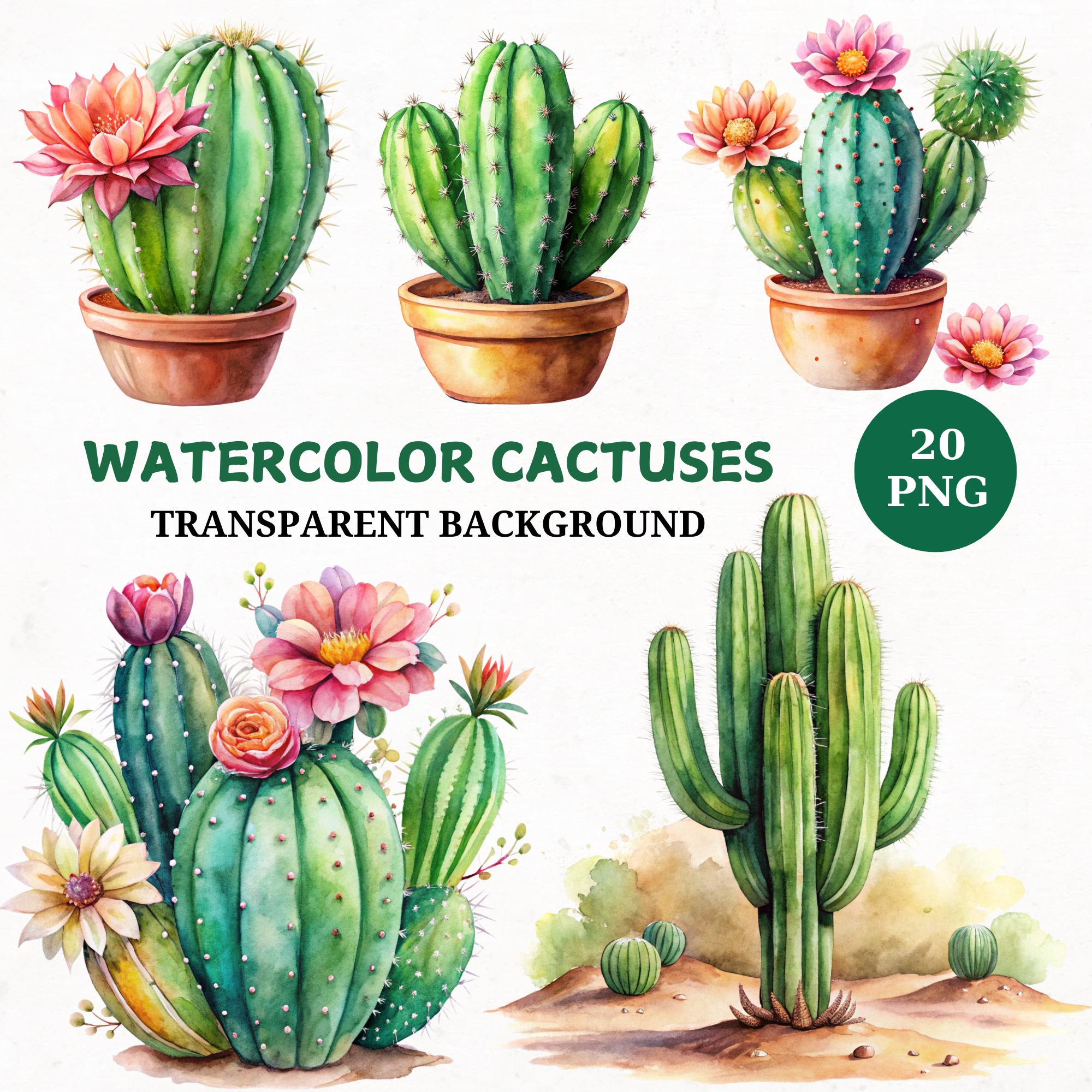 Watercolor Cactus Clipart Bundle: Desert Floral Illustrations (PNG ...