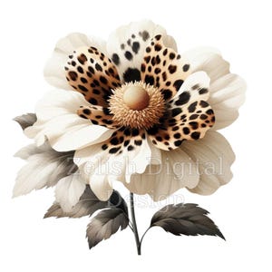 Watercolor Leopard Print Flower Clipart: 10 PNG Floral Illustrations ...