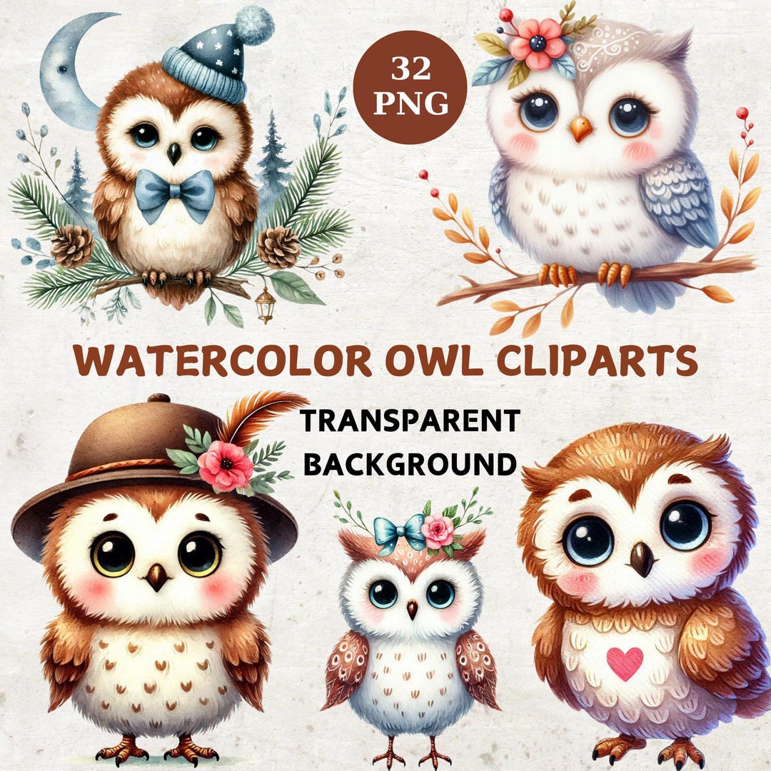 Watercolor Owl Clipart Bundle, Nursery Decor (32 PNG) - Etsy