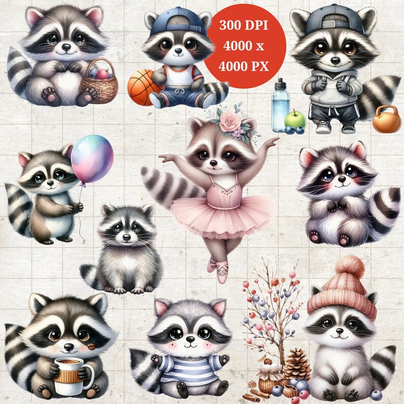 Watercolor Raccoon Clipart Bundle, 27 Transparent Png Illustrations for ...