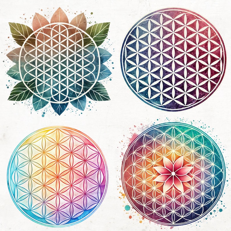 Watercolor Flower of Life Clipart Bundle: 12 PNG Illustrations (digital ...