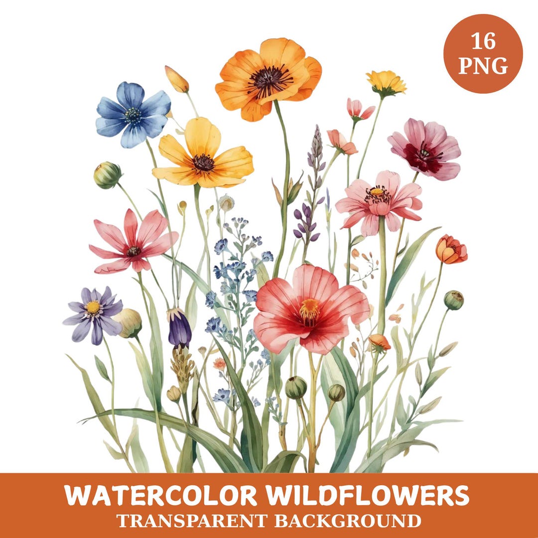 Well Defined Wildflower Clipart Bundle, 16 PNG, Watercolor Flowers ...