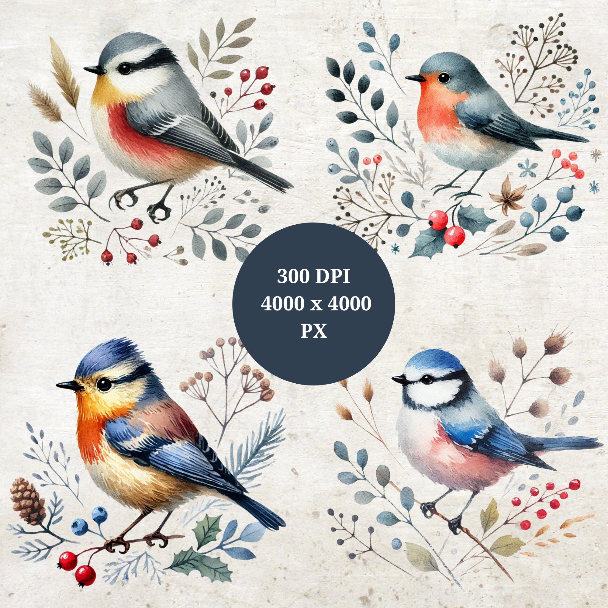 Scandinavian Birds Clipart, 22 Transparent Png, Floral Bird, Printable ...