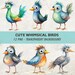Watercolor Bird Clipart, Whimsical PNG Bundle (digital Download) - Etsy