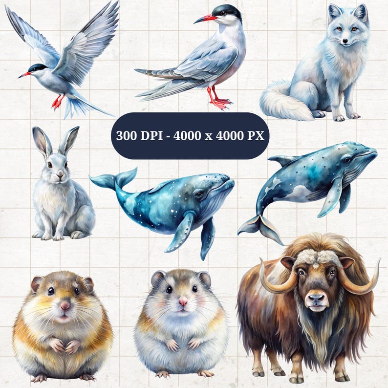 Watercolor Arctic Animals Clipart Bundle: 44 PNG Designs (digital ...