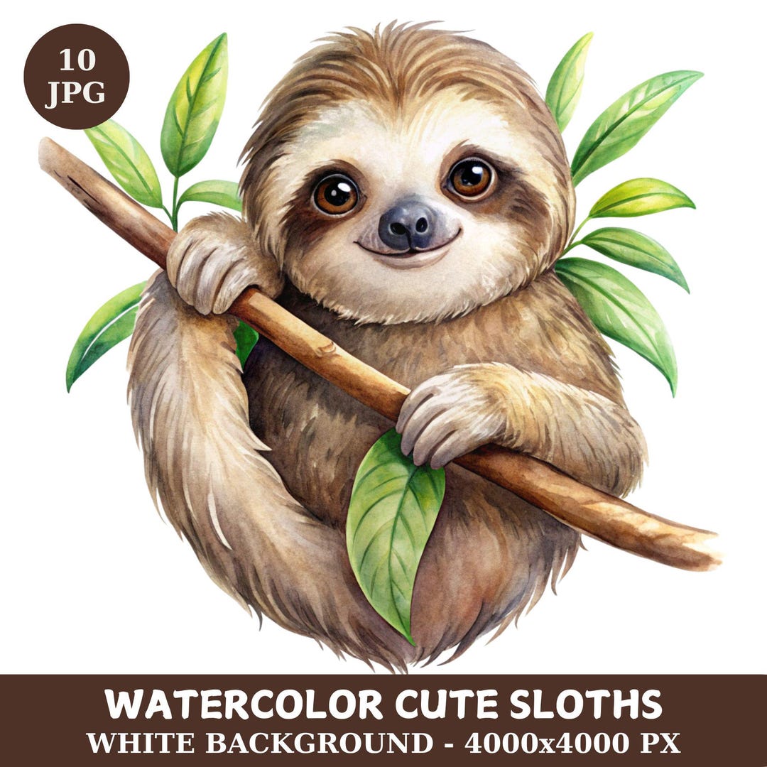 Cute Sloth Clipart Bundle, 10 High Quality Jpg, Watercolor Sloth ...