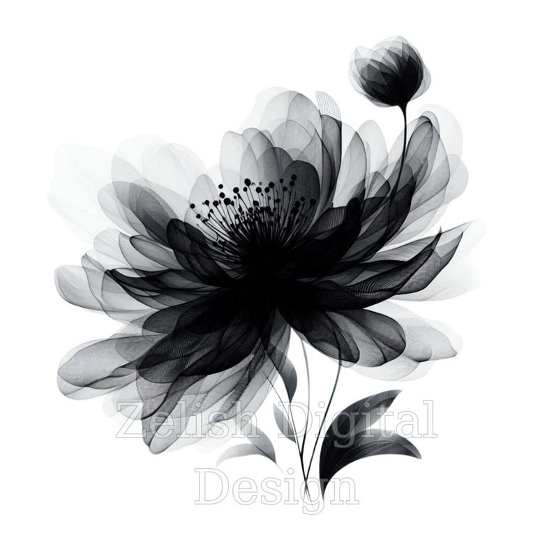 Abstract Black Flowers Clipart Bundle: Watercolor PNG, Digital Download ...