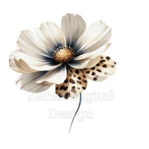 Watercolor Leopard Print Flower Clipart: 10 PNG Floral Illustrations ...